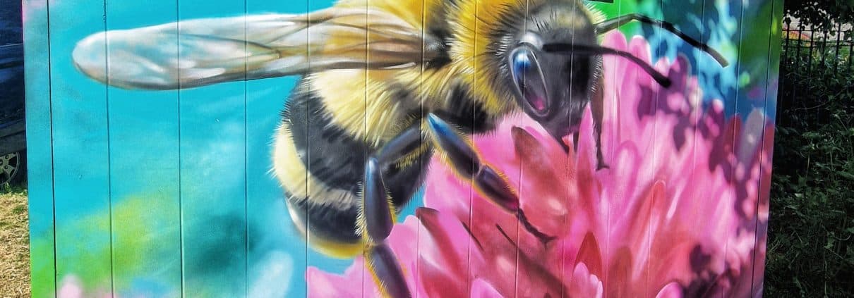 Cynefin mural | Andy O'Rourke - Murals & Illustration
